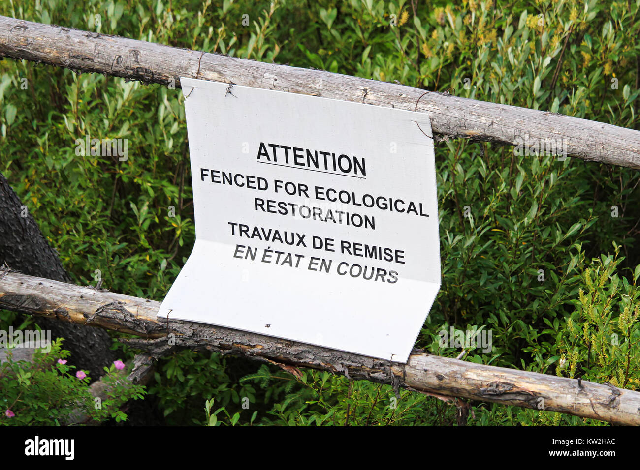 Ecological restoration hi-res stock photography and images - Alamy