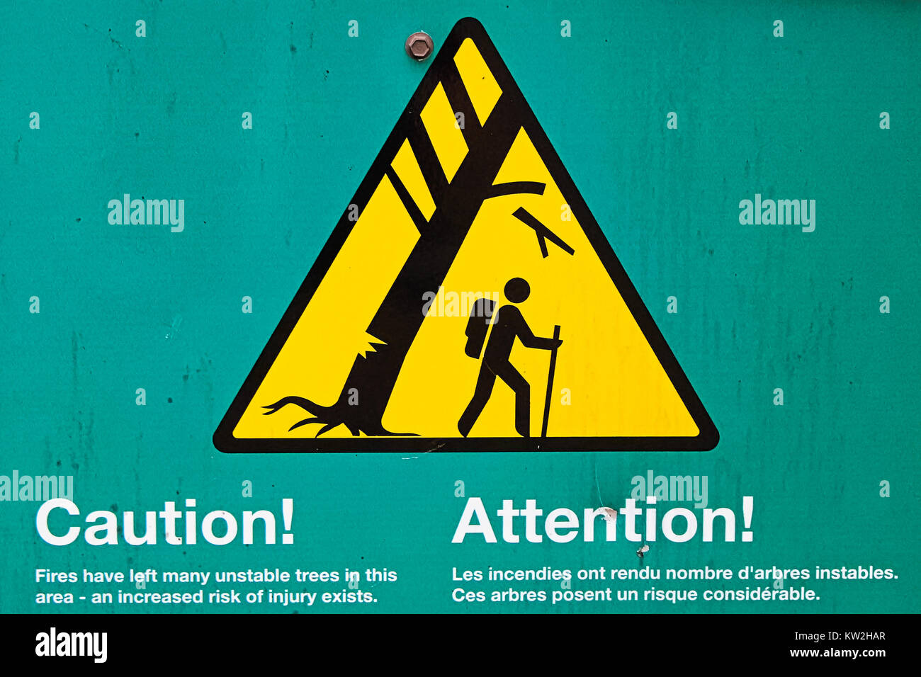 A caution unstable trees in area sign Stock Photo - Alamy