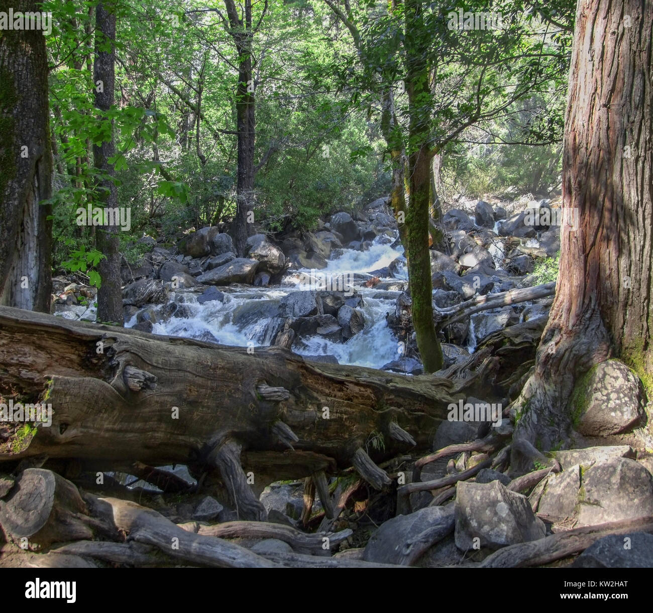 Natural fluid zone hi-res stock photography and images - Alamy