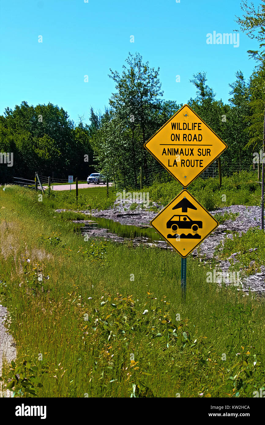 Wildlife on road warning sign with bumps ahead Stock Photo - Alamy