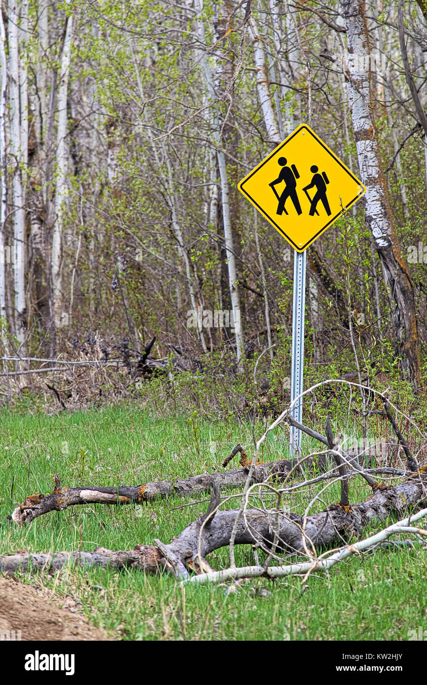 Walkway clearing forest hi-res stock photography and images - Alamy