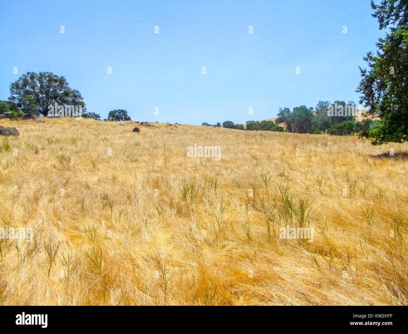 Grassland scenery hi-res stock photography and images - Alamy