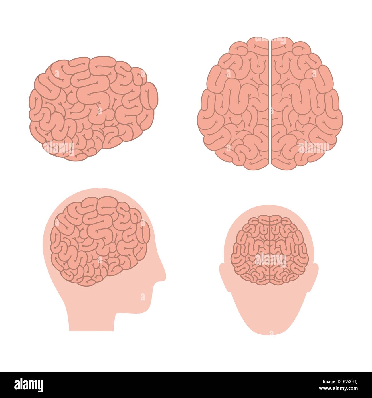 artificial intelligence brains human set in color silhouette Stock ...