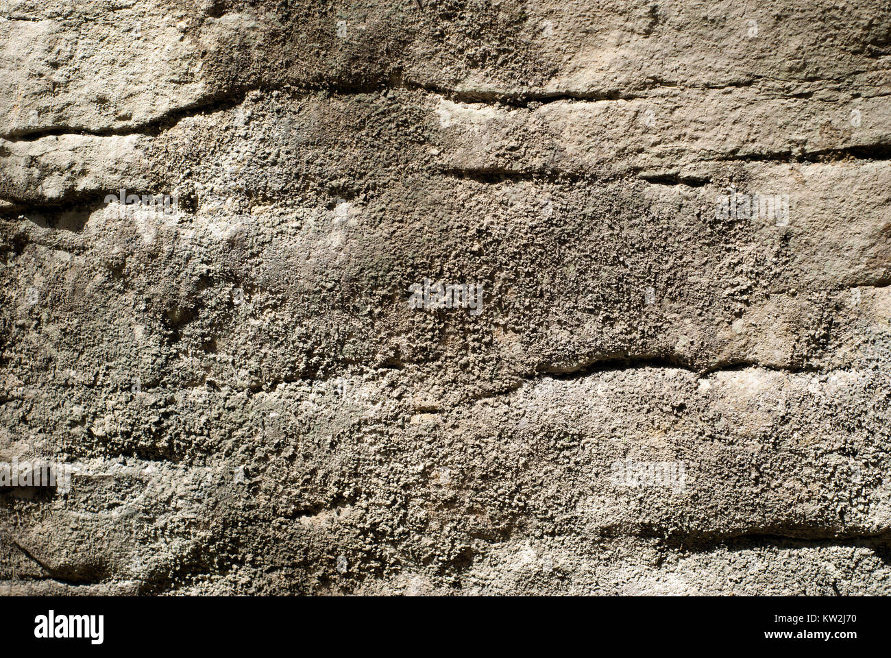 background, texture: gray rough surface of natural calcareous rock ...