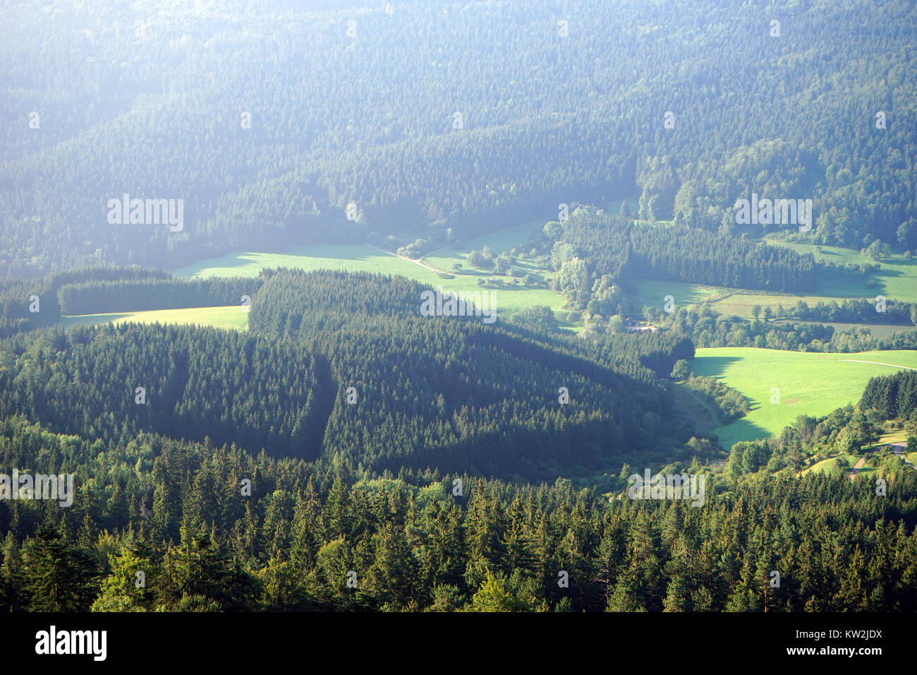 Green valley and fir-tree forest in Swabia, Germany Stock Photo - Alamy