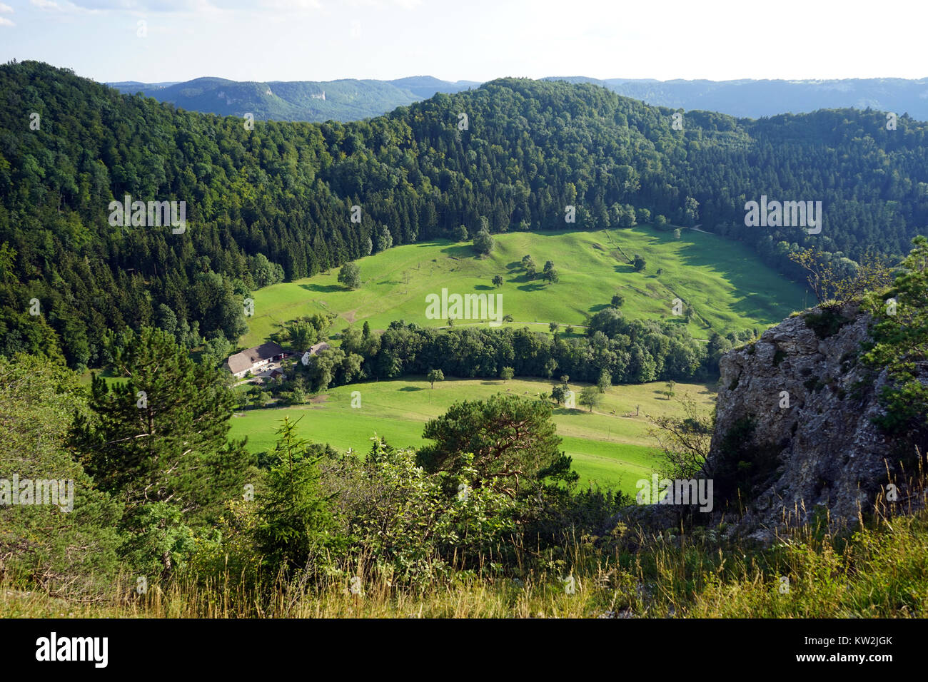 Green valley and fir-tree forest in Swabia, Germany Stock Photo - Alamy