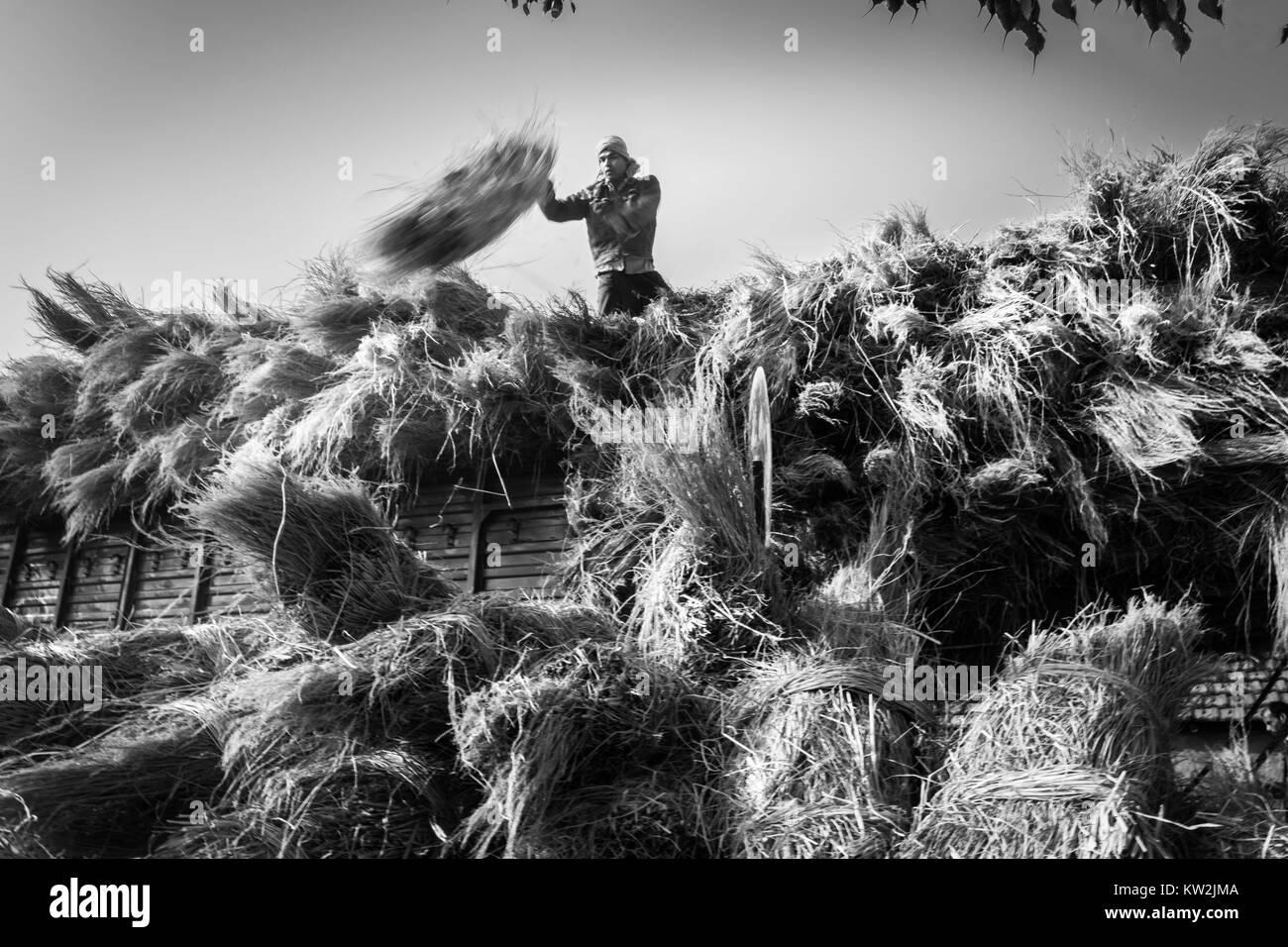 Rural life Black and White Stock Photos & Images - Alamy