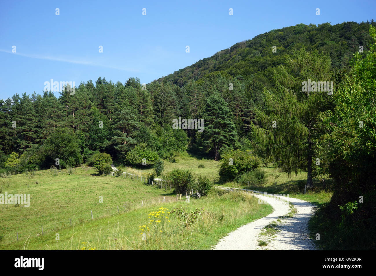 The forest edge hi-res stock photography and images - Alamy