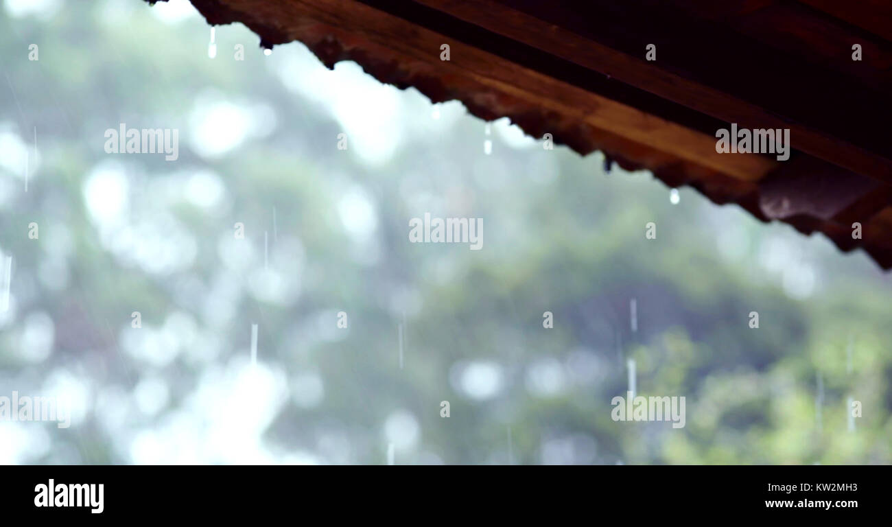House exterior in the after rain Stock Photo - Alamy