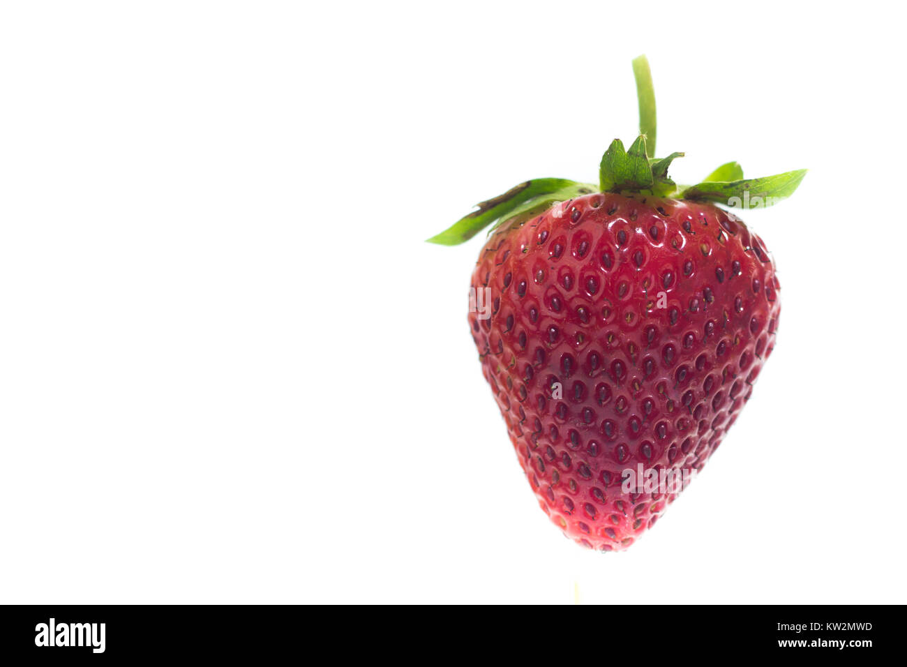 Strawberry cherry red on white isolate, Front view isolated white Stock ...