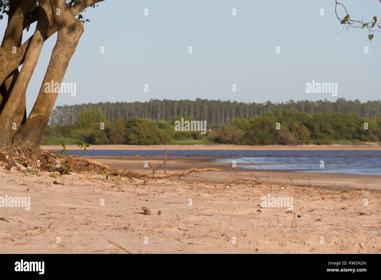 Paisaje rios hi-res stock photography and images - Alamy
