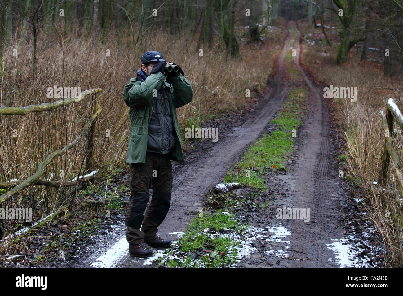 Bird watcher watching birds winter Stock Photo - Alamy