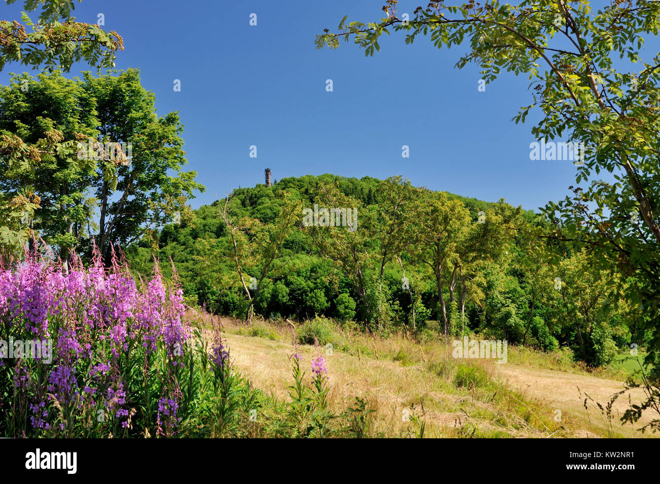Mountain Geising with observation tower, Osterzgebirge, Geisingberg mit ...
