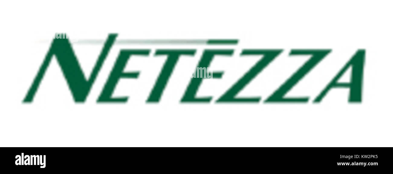 Netezza Logo