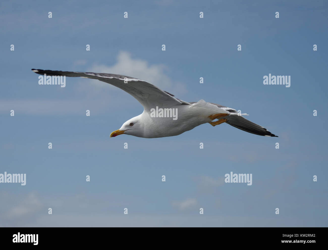 Flying perspective hi-res stock photography and images - Alamy