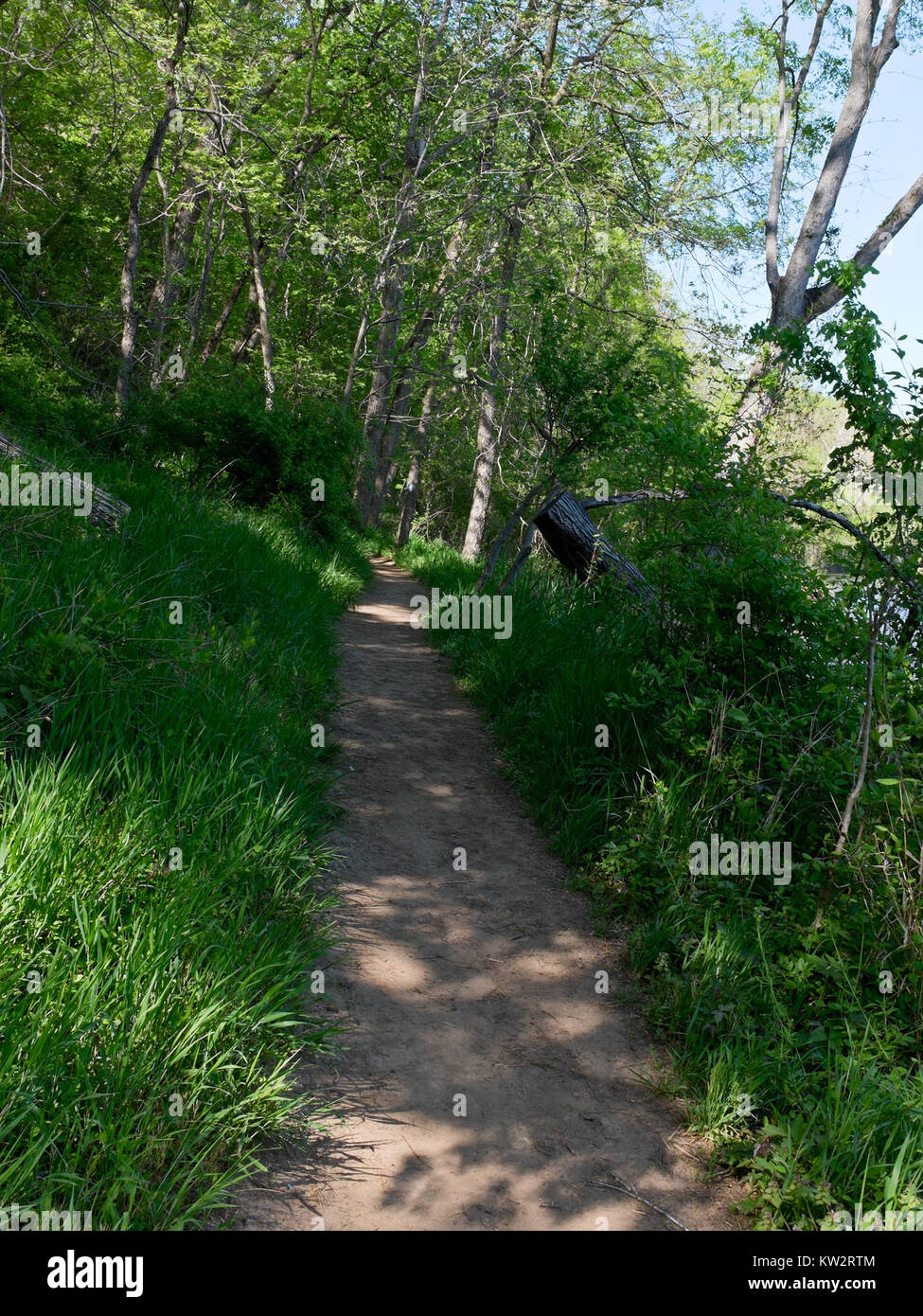 Billy Goat B Trail 33 is a hiking trail located in the Billy Goat ...