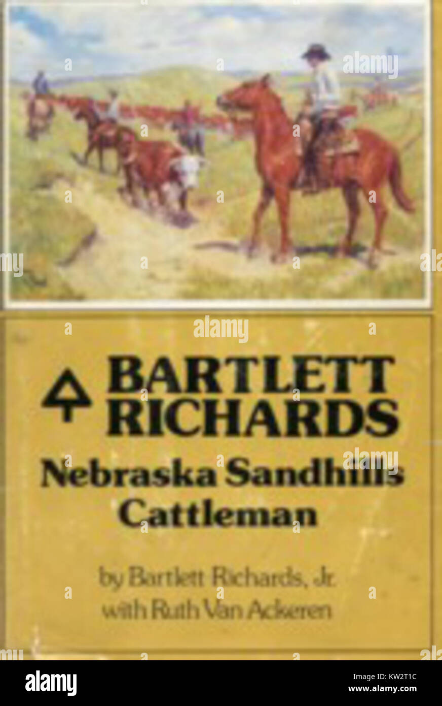1920s book cover hi-res stock photography and images - Alamy