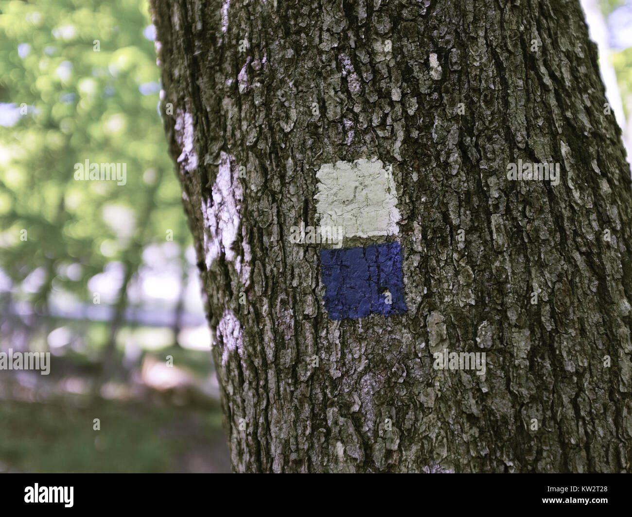 Trail along potomac river hi-res stock photography and images - Alamy
