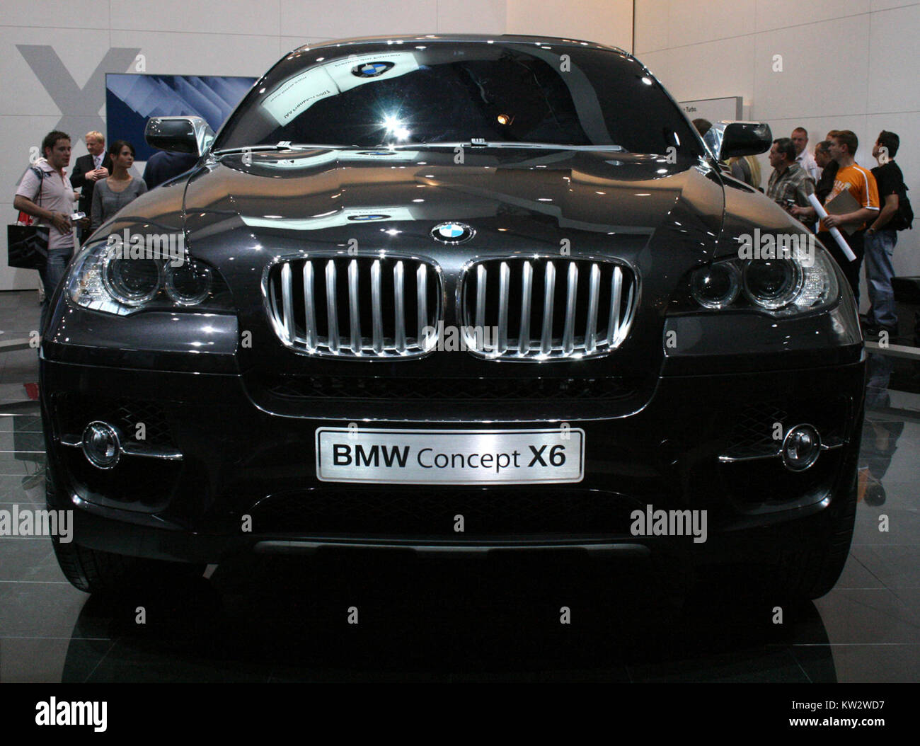 The BMW X6 is a luxury SUV known for its distinctive front-end design ...
