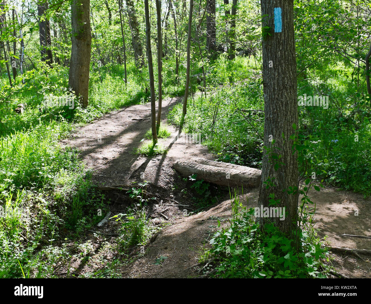 Billy Goat B Trail 5 Stock Photo - Alamy