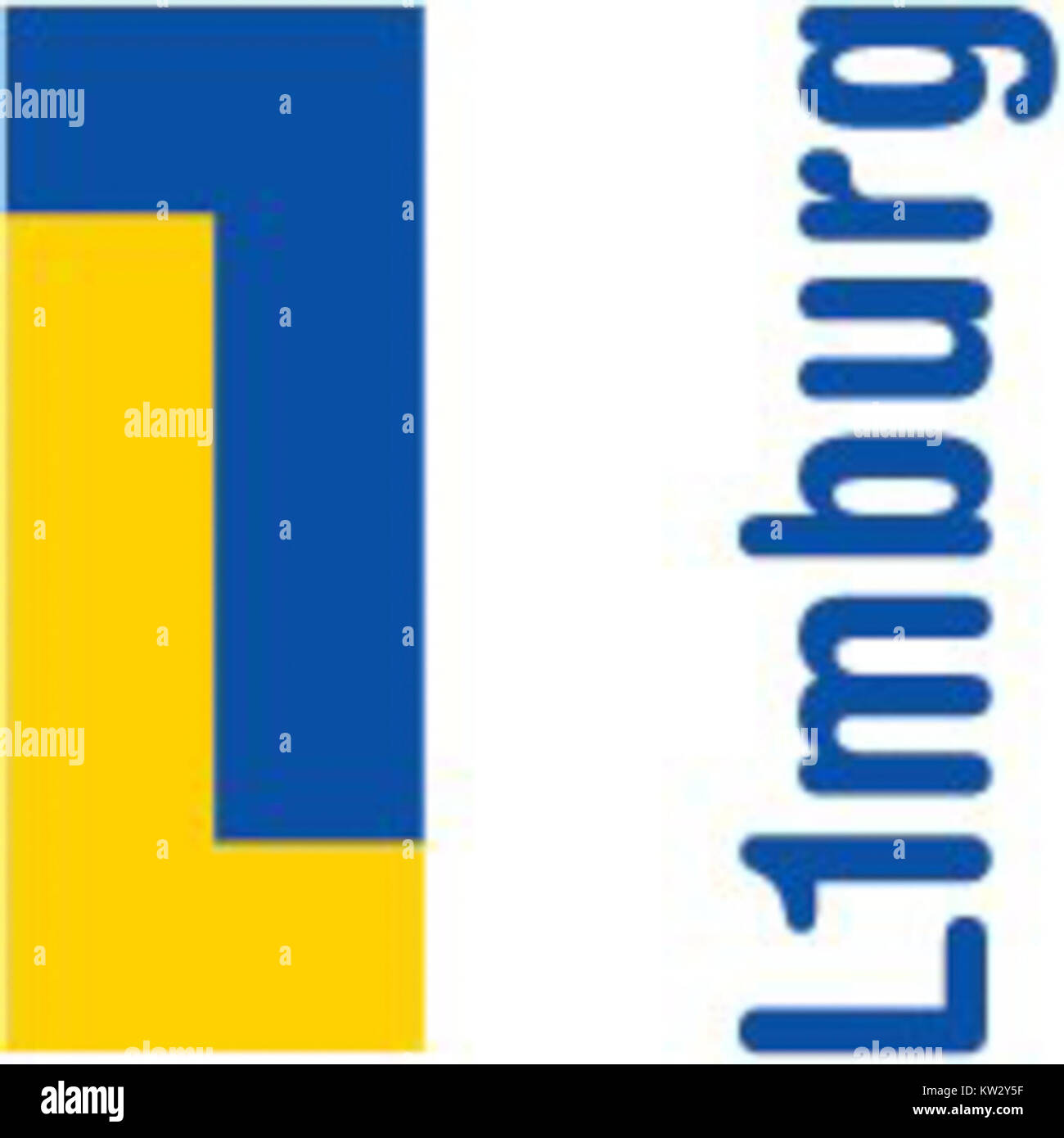 The L1 logo is a graphic symbol representing a specific company, brand ...