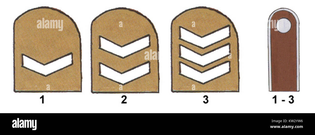 Organizational units hi-res stock photography and images - Alamy