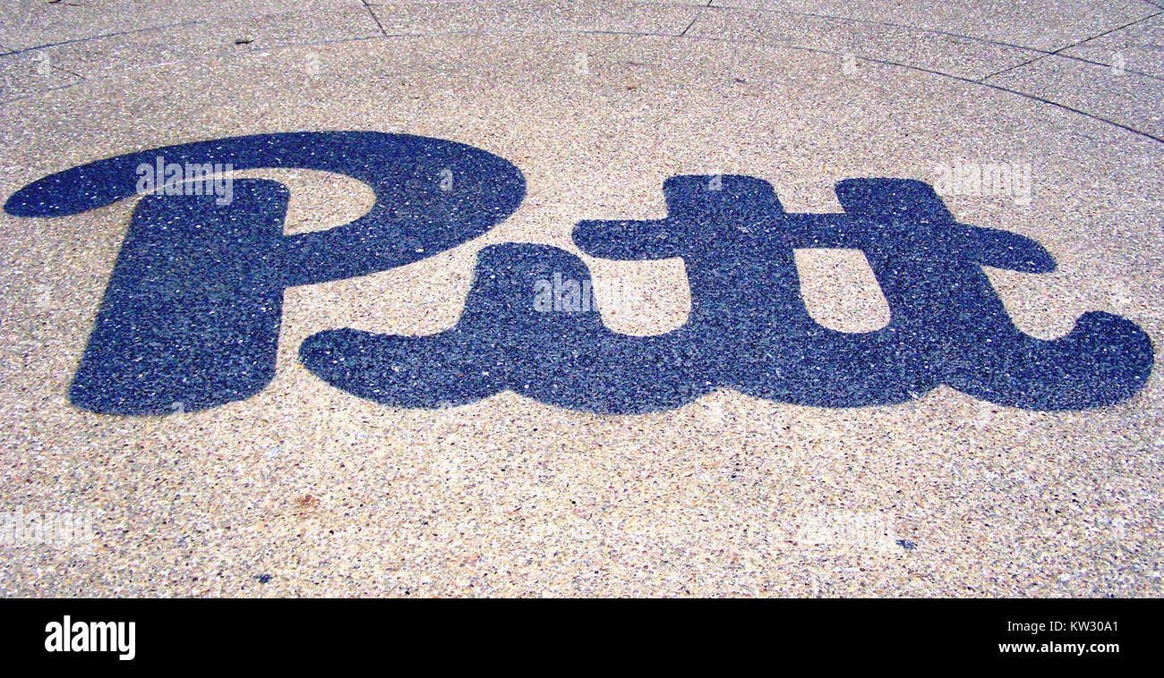 A photograph of PittScript Pavers located outside the William Pitt ...