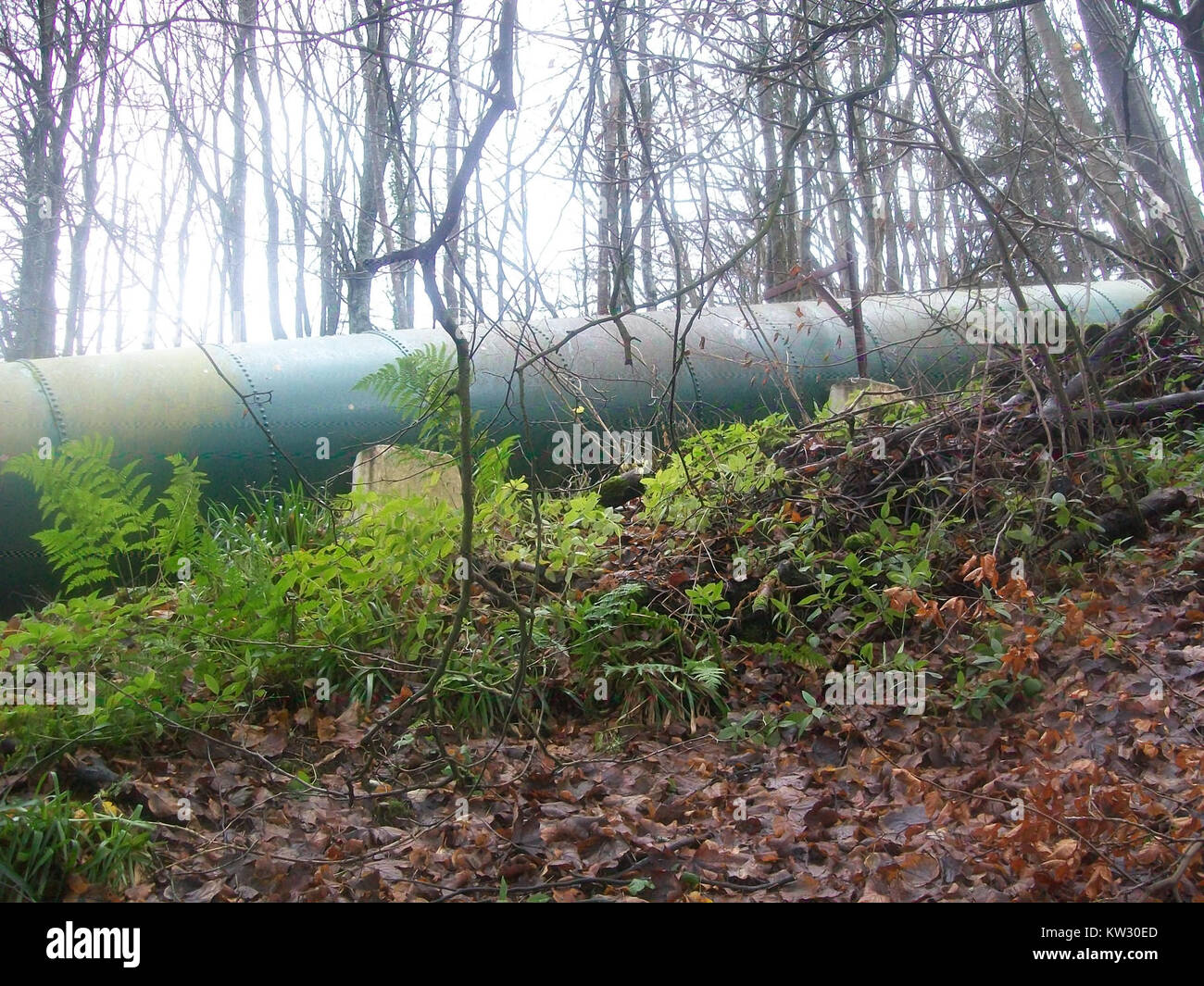 The image captures the pipes at Bonnington Power Station in December ...