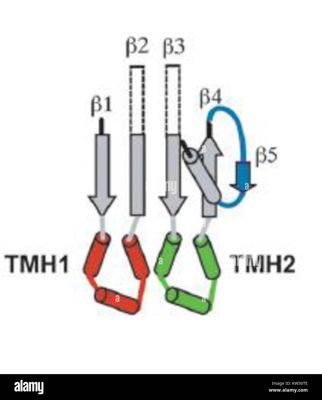 Subunits High Resolution Stock Photography and Images - Alamy