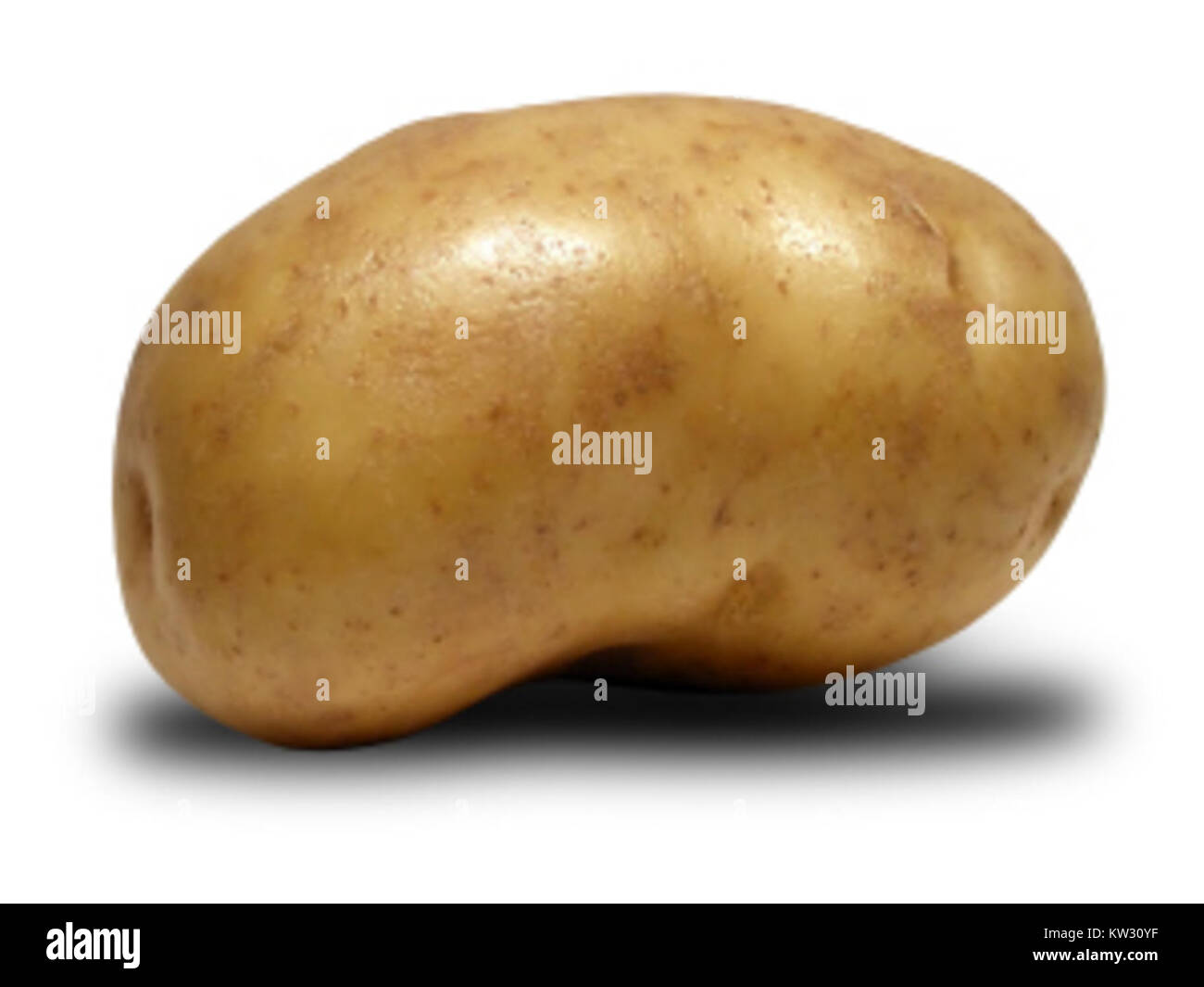 Introspective individuals Cut Out Stock Images & Pictures - Alamy