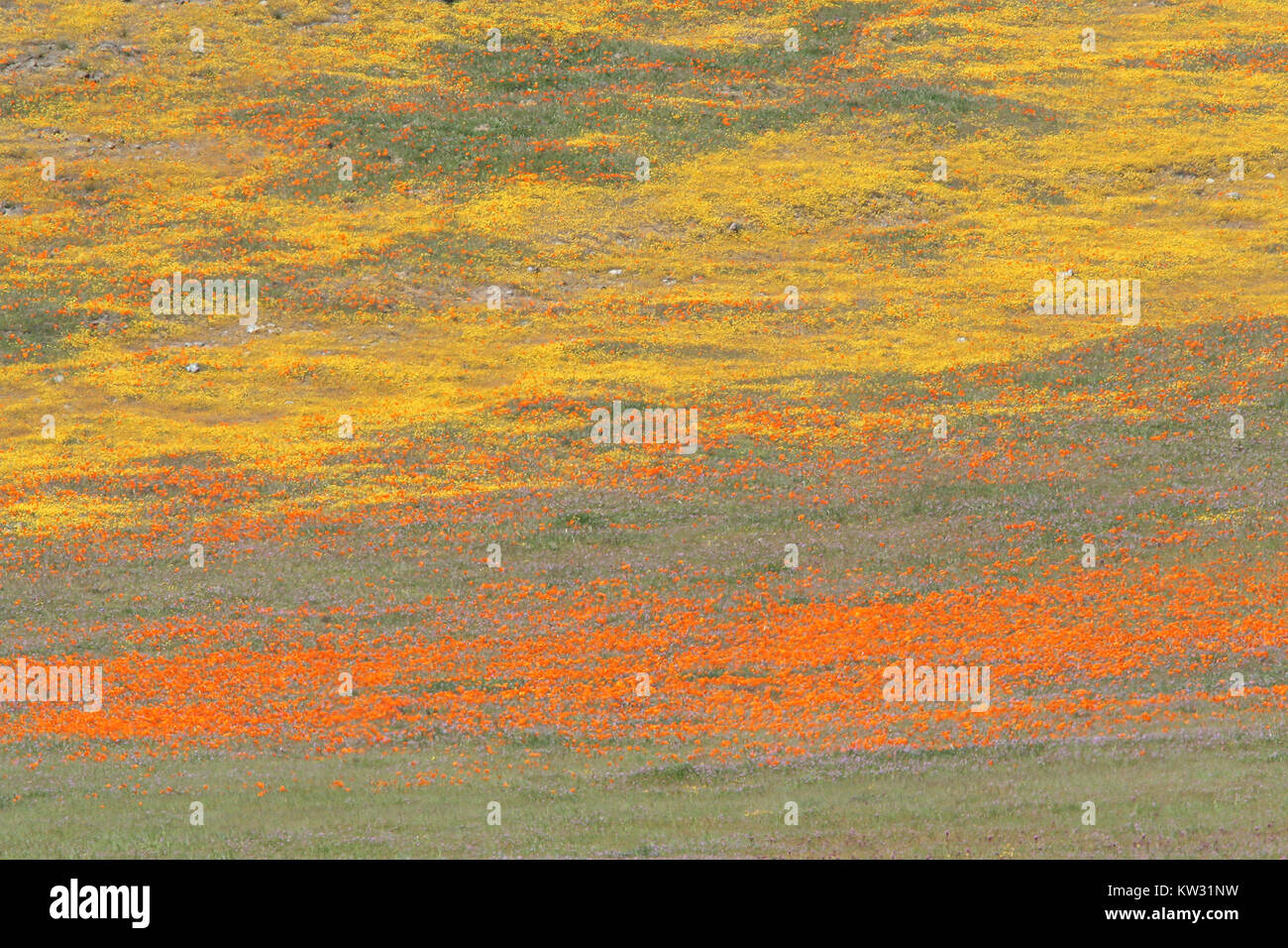 Bitterwater road hi-res stock photography and images - Alamy