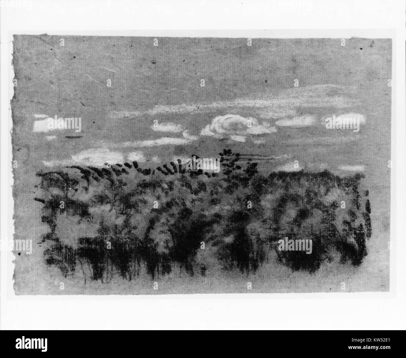 Unique habitat protection Black and White Stock Photos & Images - Alamy