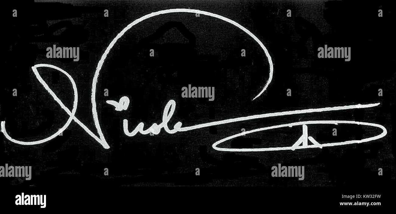 Nicole Scherzinger's signature, a personal and iconic mark of the ...