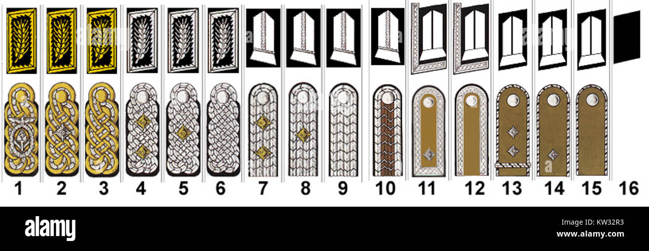 RAD ranks refers to the ranking or classification of various entities ...