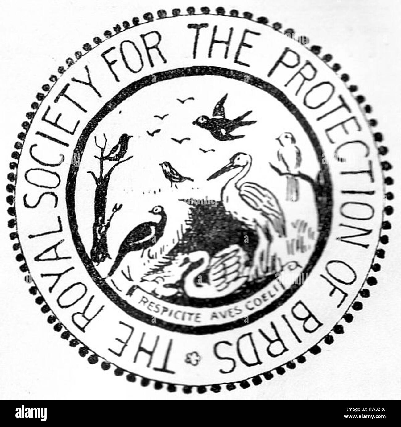 Rspb logo hi-res stock photography and images - Alamy