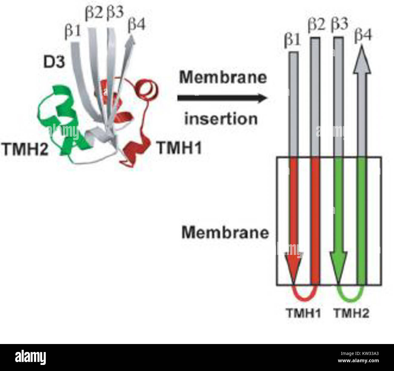 Tmh hi-res stock photography and images - Alamy
