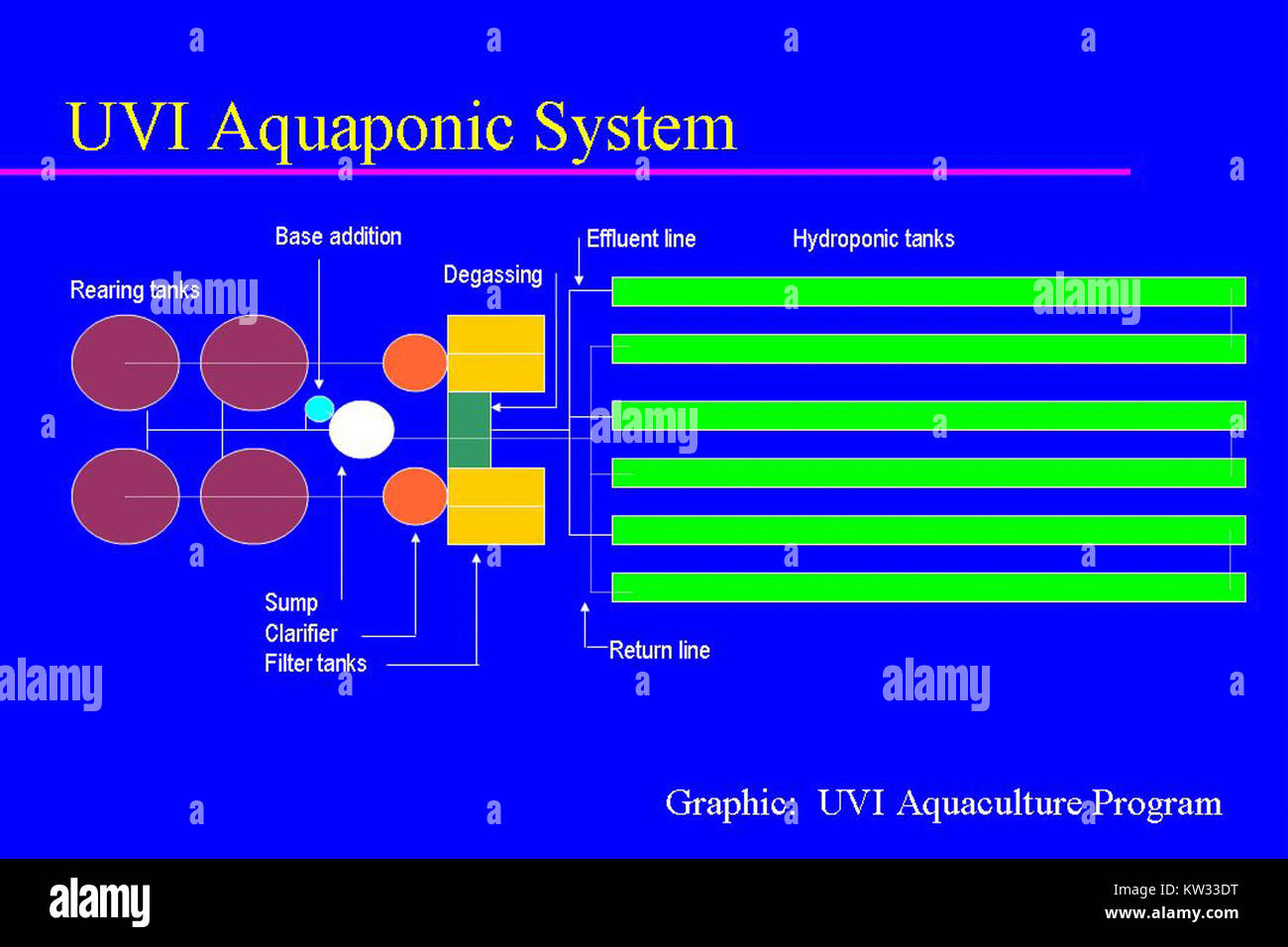 The UVI Aquaponic System is a method of sustainable farming that ...
