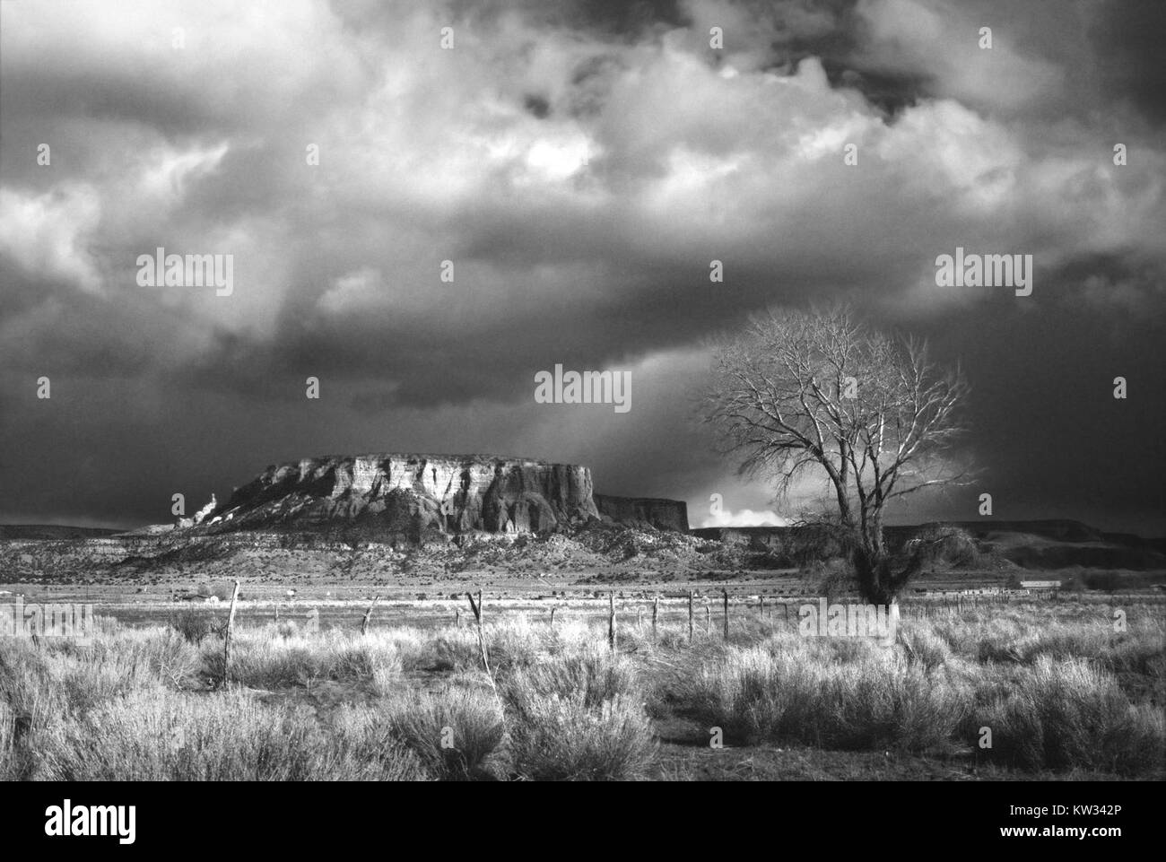 Monochrome photographs hi-res stock photography and images - Alamy