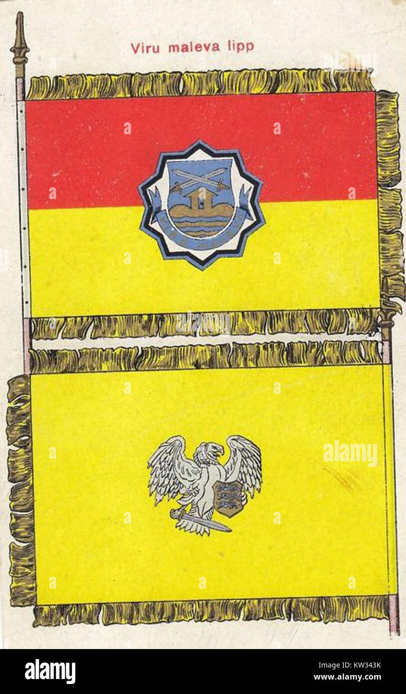The flag of the Viru District of the Estonian Defence League ...