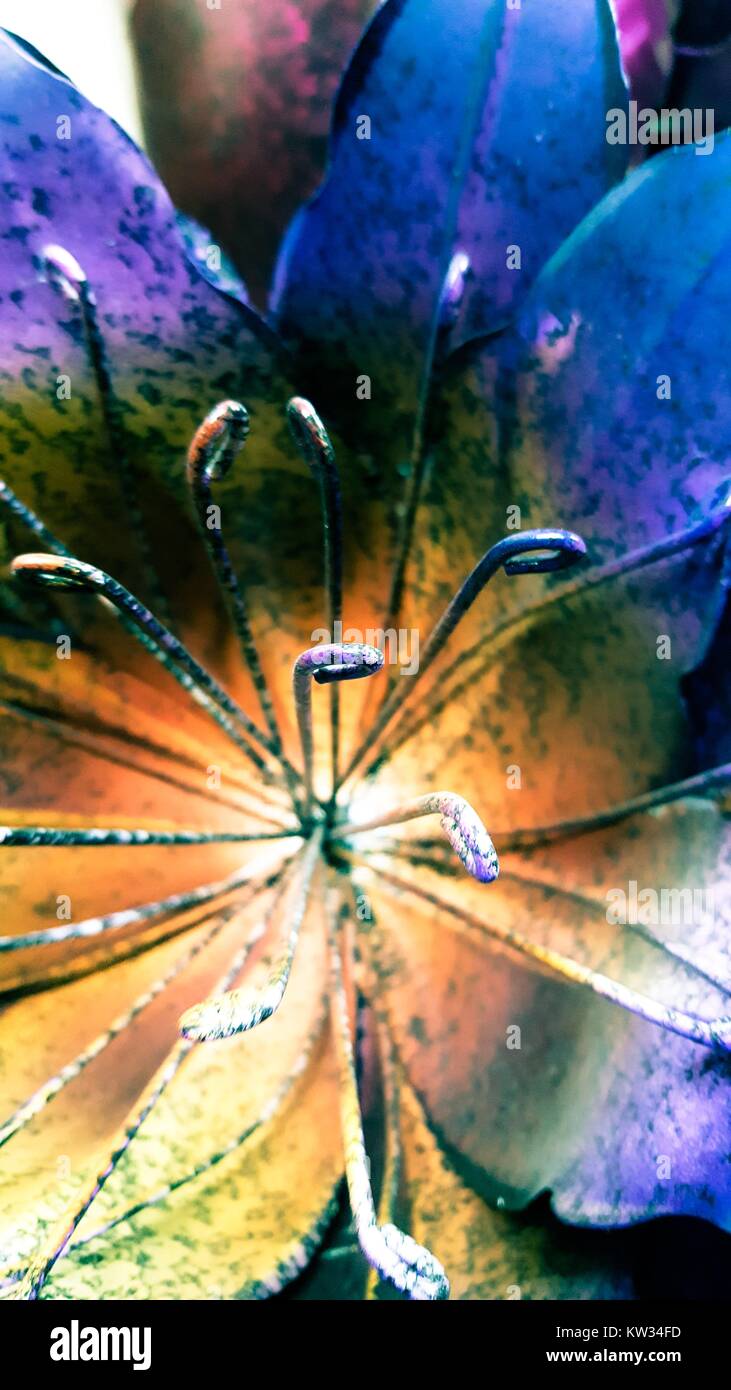 Digital abstract: floral abstract, creative, digital painting, digital ...