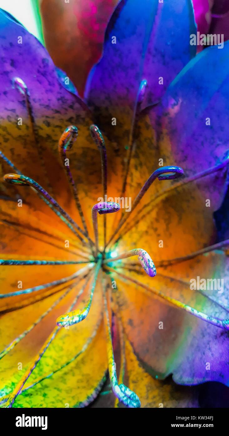 Digital abstract: floral abstract, creative, digital painting, digital ...