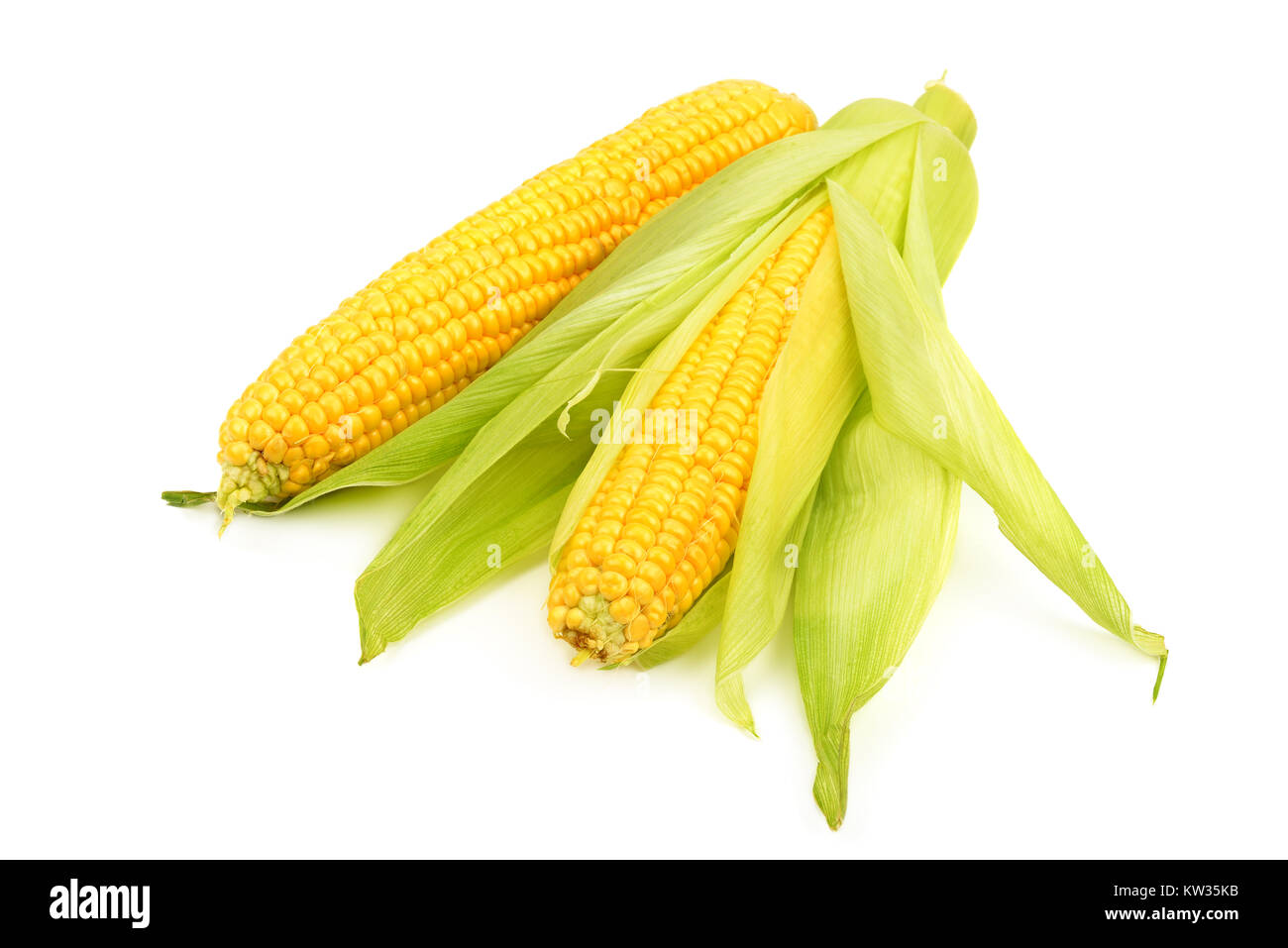 corn on the cob isolated on white background Stock Photo - Alamy