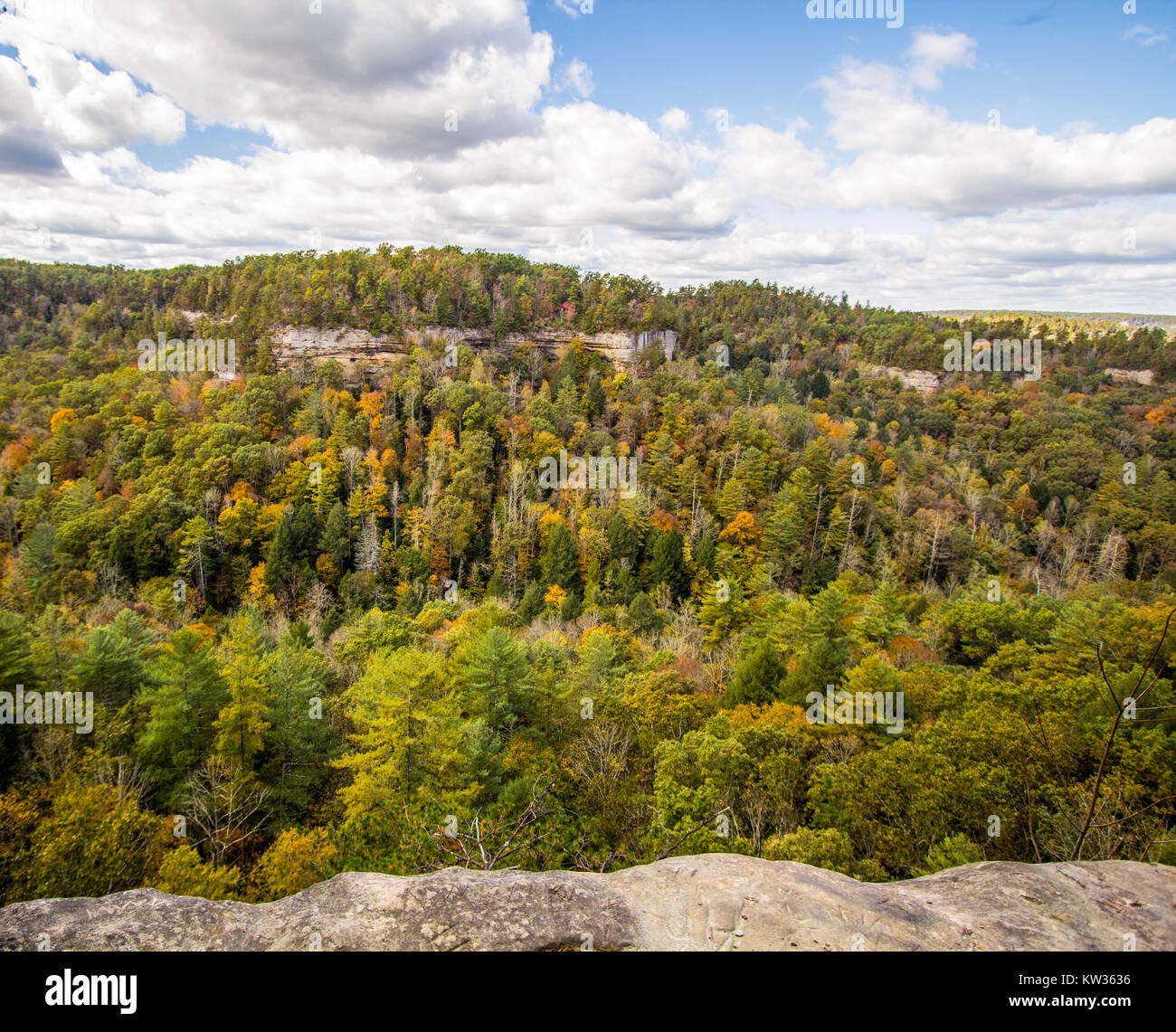 Kentucky Mountain Panorama. Overlook view from the Red River Gorge in ...