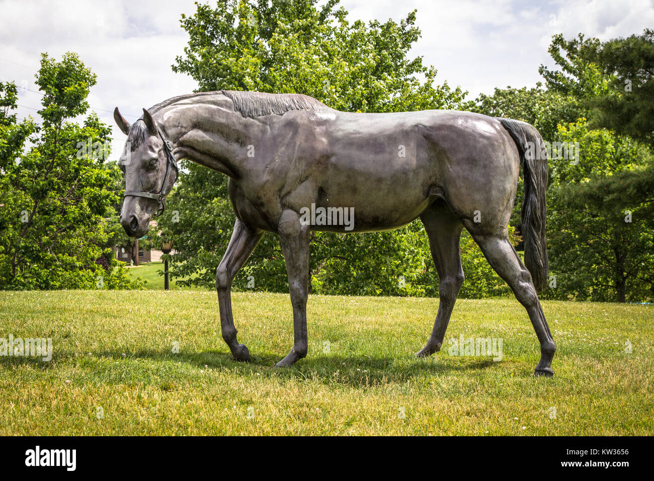 Thoroughbred park lexington hi-res stock photography and images - Alamy