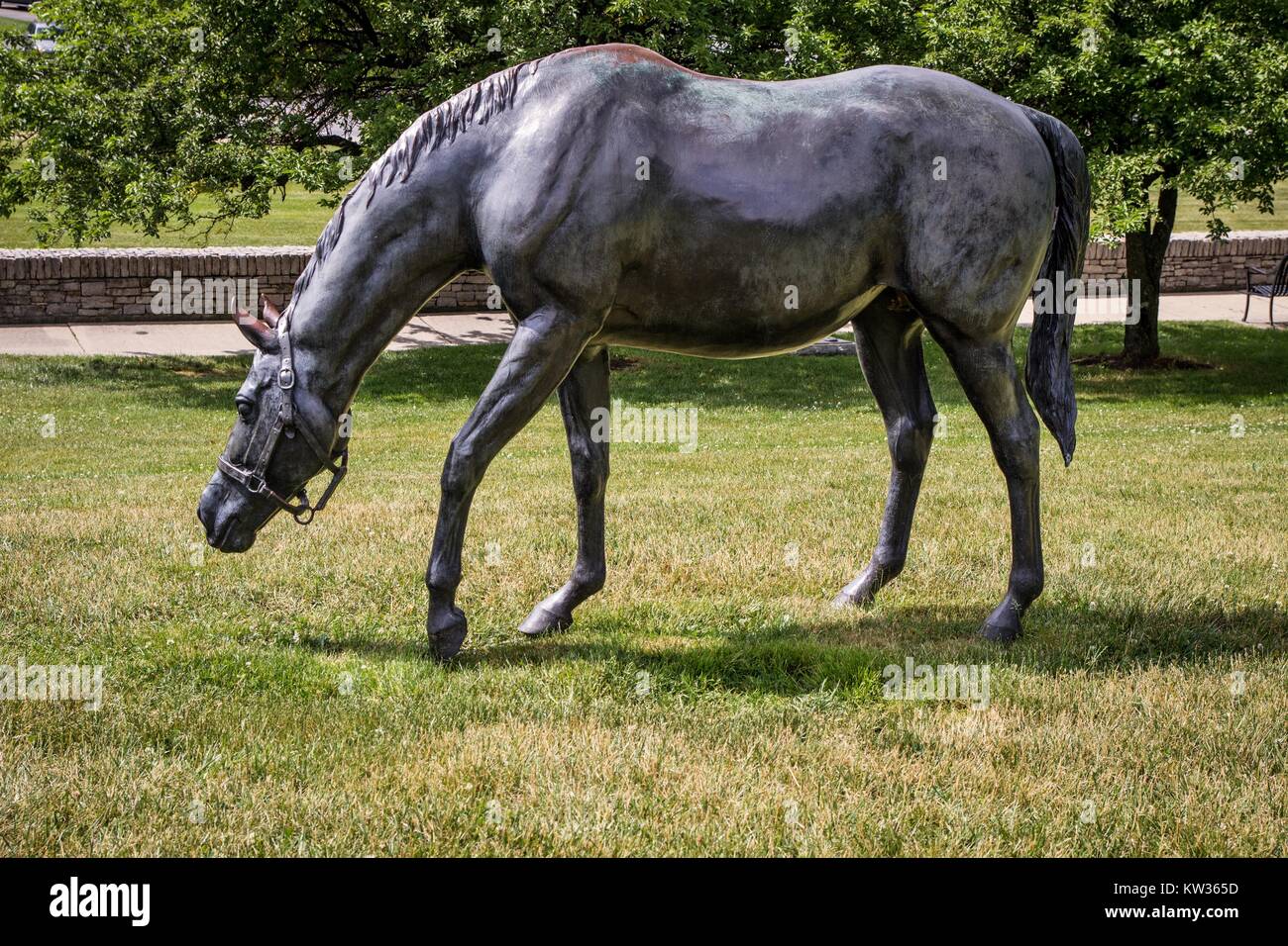 Lexington horse art hi-res stock photography and images - Alamy