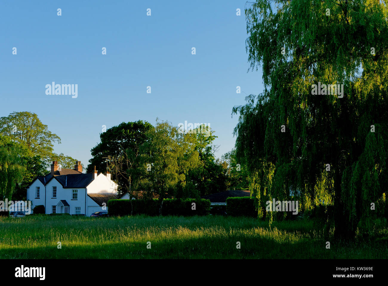 Beautiful cottage surrounded by trees, grass, and blue clear sky in the ...