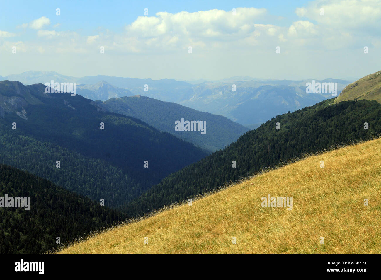 Grass on the slope hi-res stock photography and images - Alamy