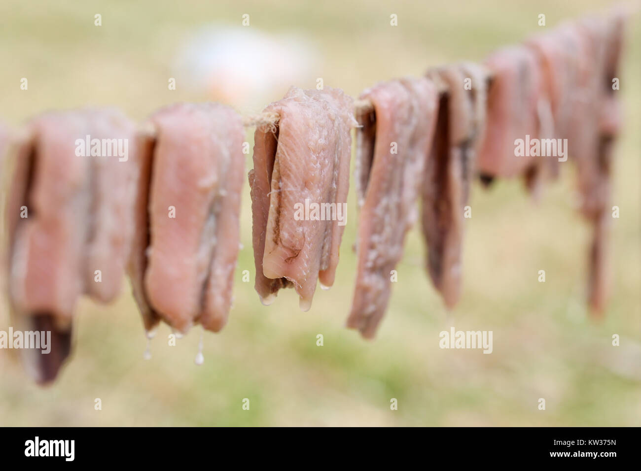 Surstromming hi-res stock photography and images - Alamy