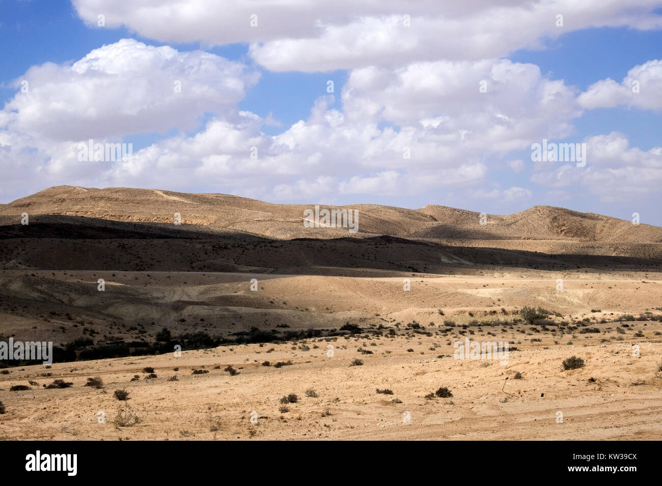 Highlands of the Negev desert (Israel Stock Photo - Alamy