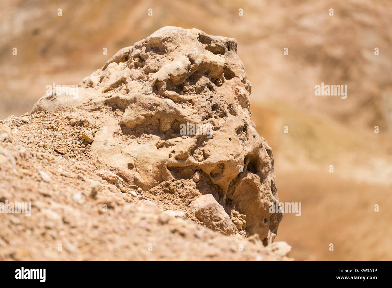 Stone with a streamlined structure of holes protruding from the ...